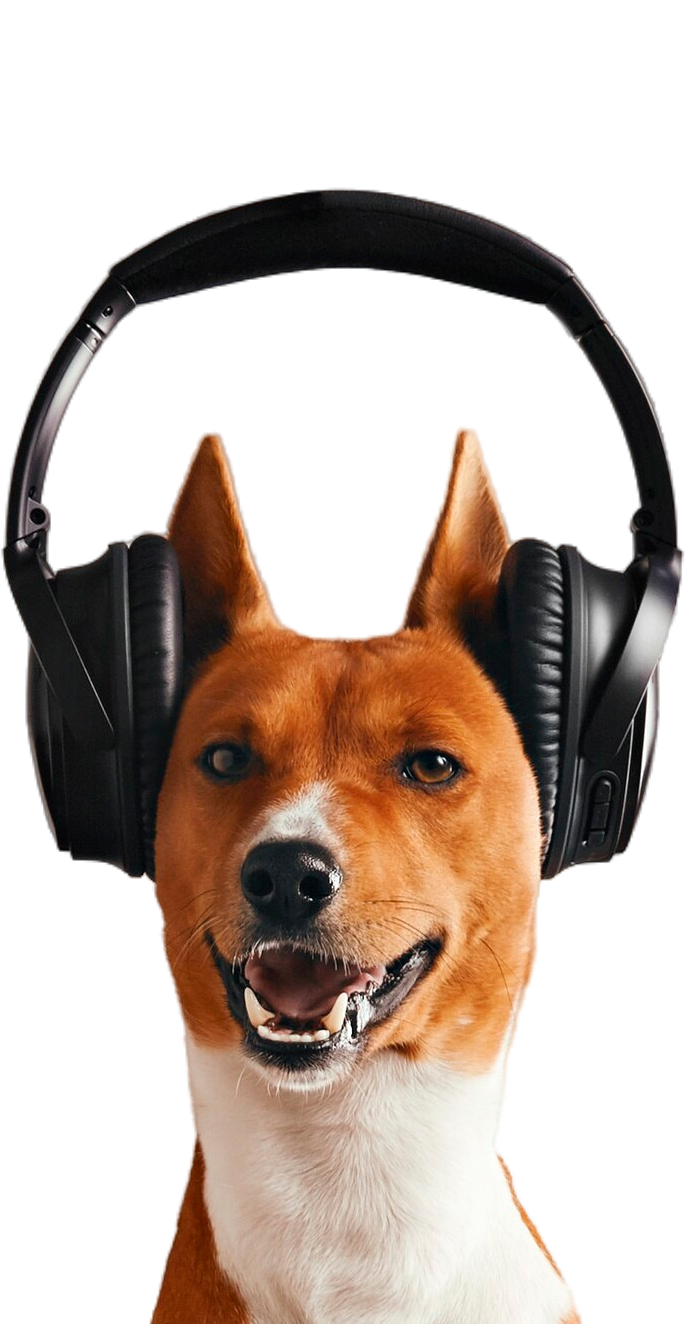 Dog Training Podcast - Positive Dog London