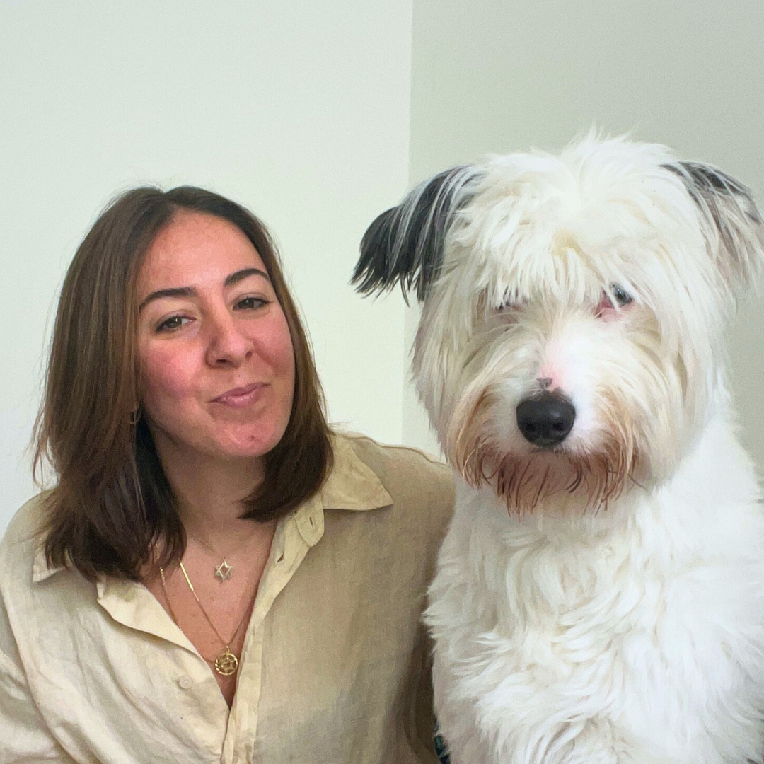Team of dog trainers - Positive Dog London